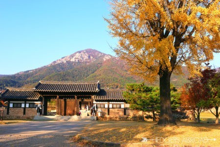 Best Places to See Fall Foliage in Korea - There She Goes Again