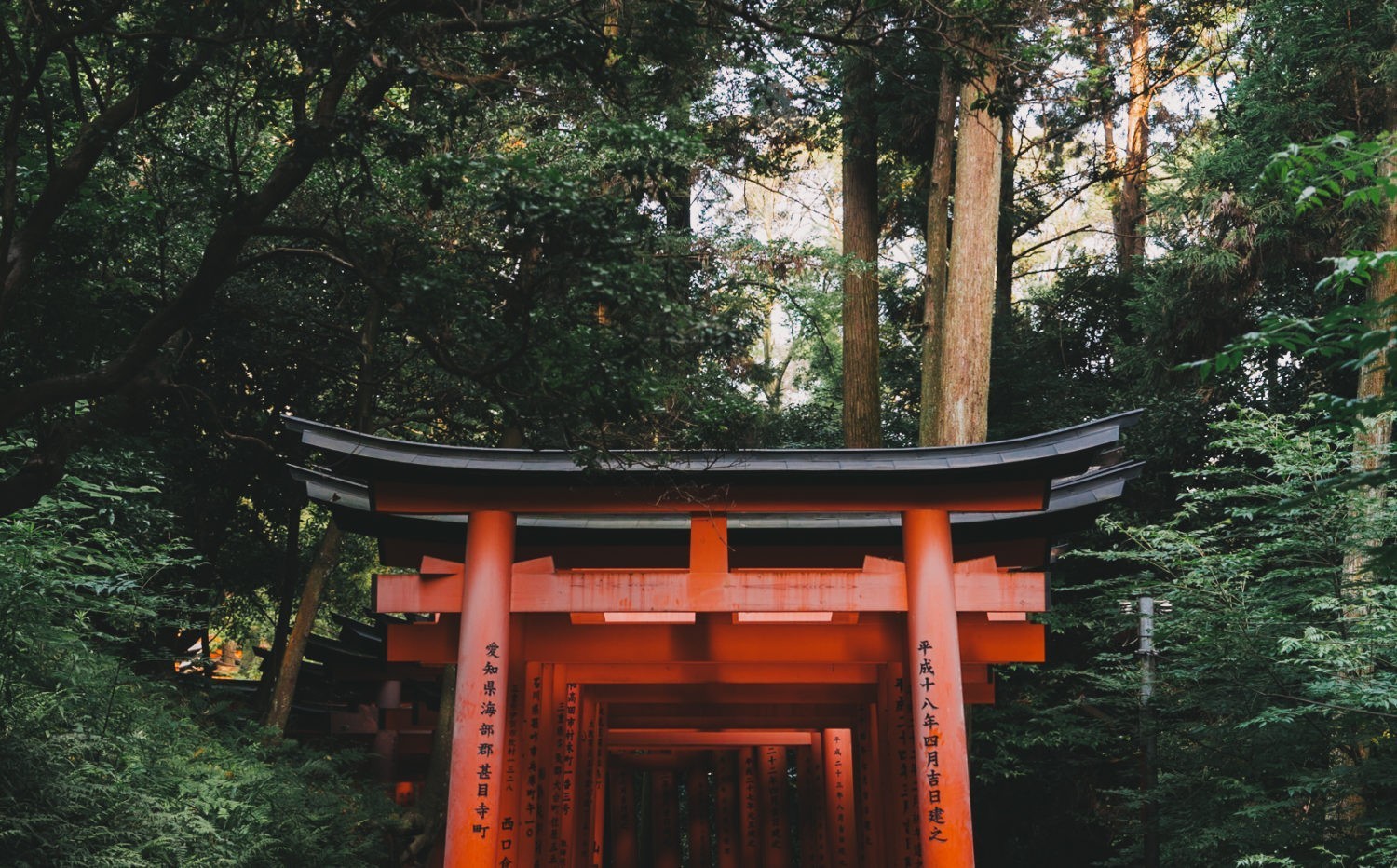 20 Breathtaking Photos to Inspire You to Visit Japan - There She Goes Again