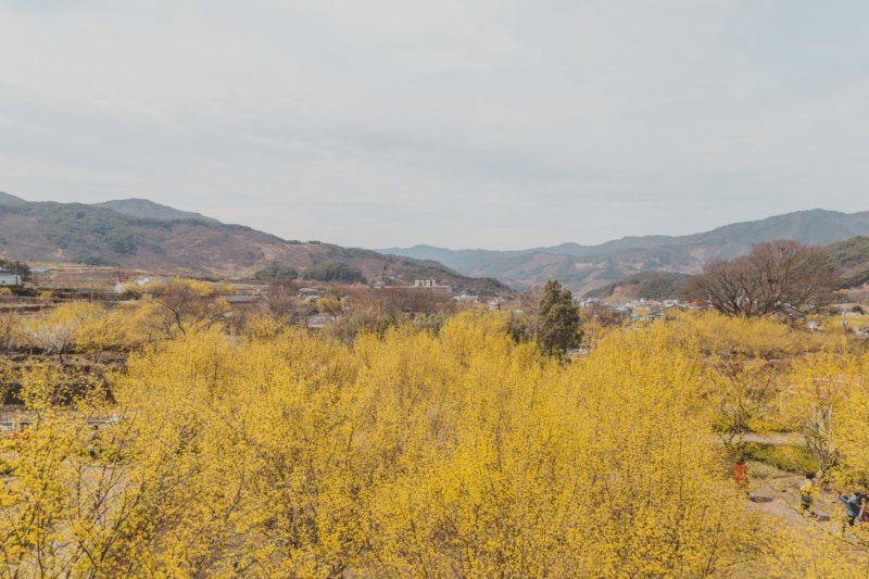 22 Places in the Korean Countryside You’ll Love – There She Goes Again