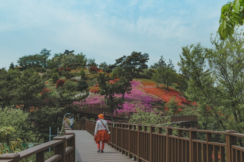 What to Do in Suncheon, Korea: A Local-ish Travel Guide – There She ...