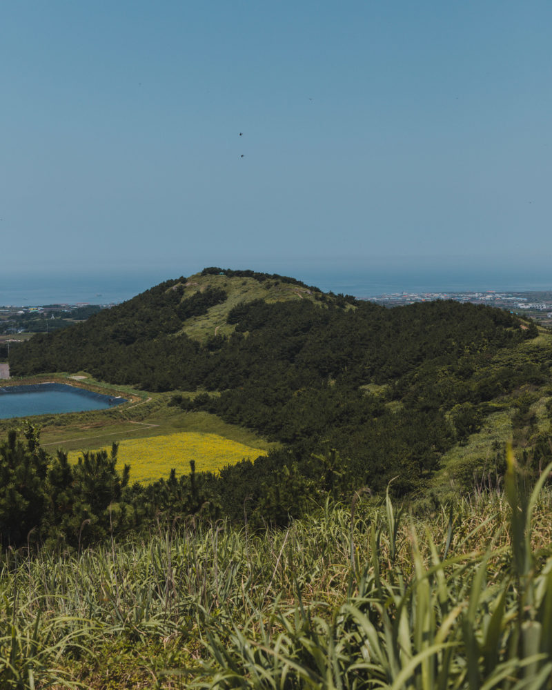 Udo Island: A Little Travel Guide - There She Goes Again