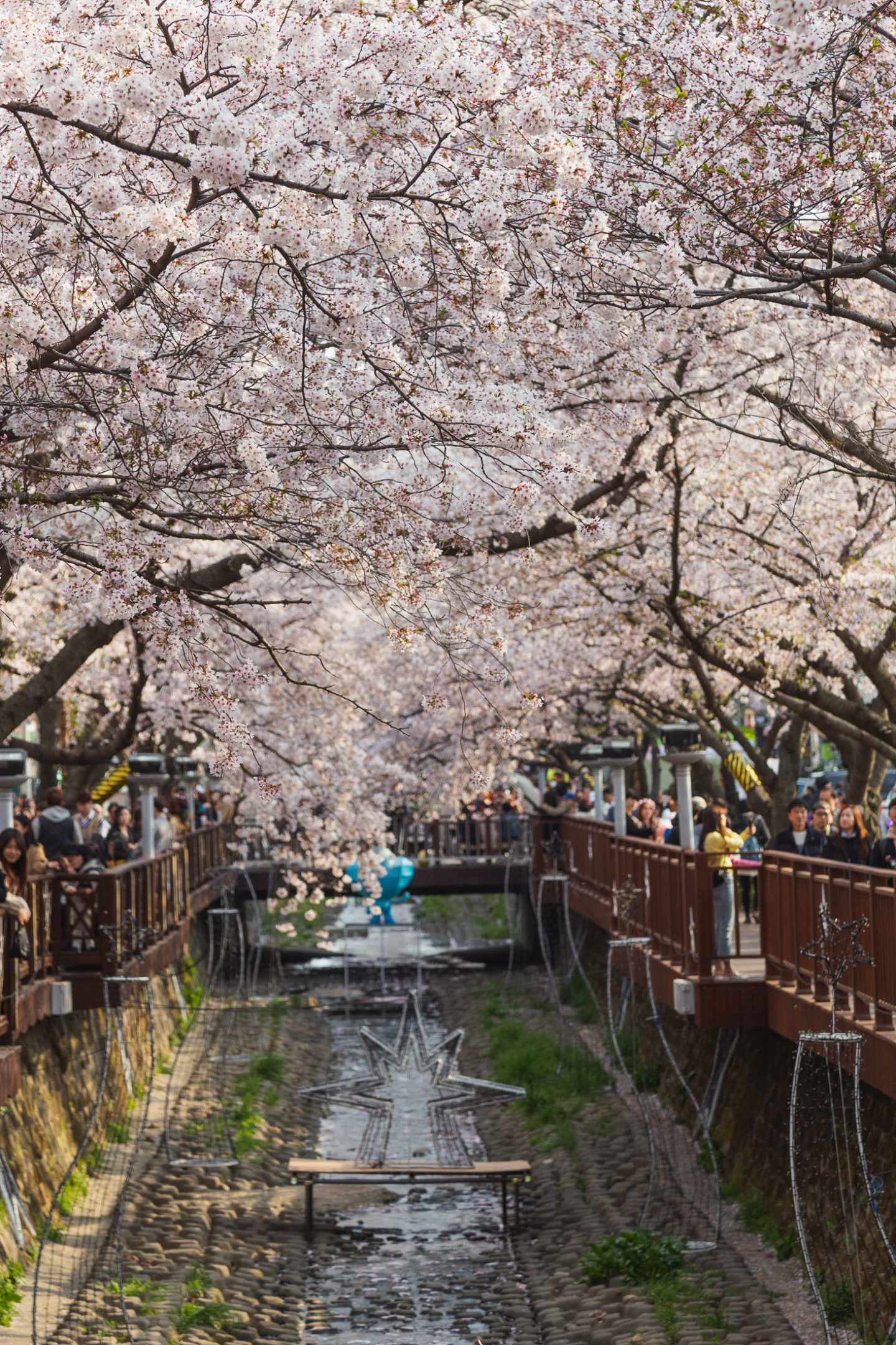 The Famous Jinhae Cherry Blossom Festival: ALL You Need to Know – There ...