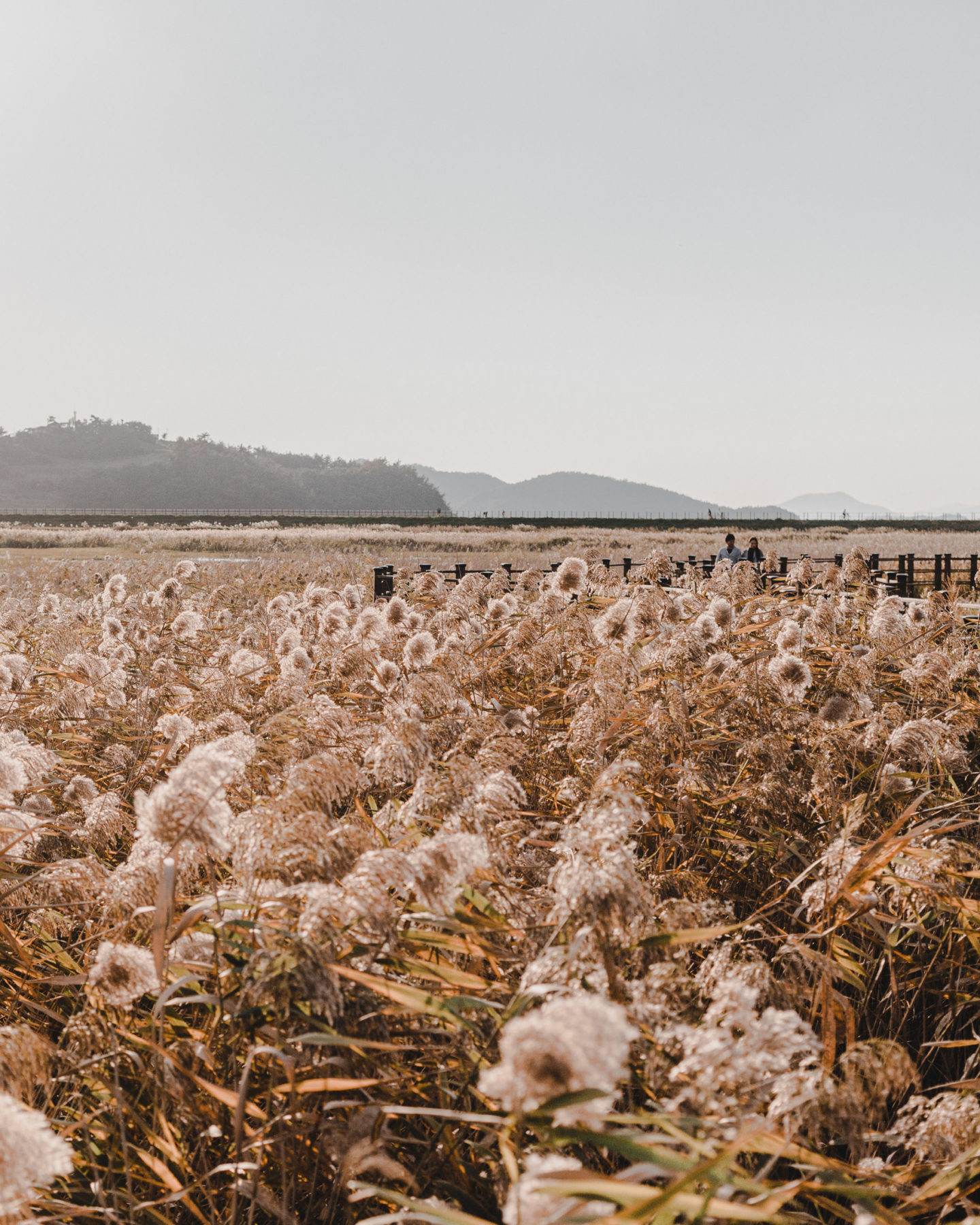 22 Places in the Korean Countryside You’ll Love – There She Goes Again