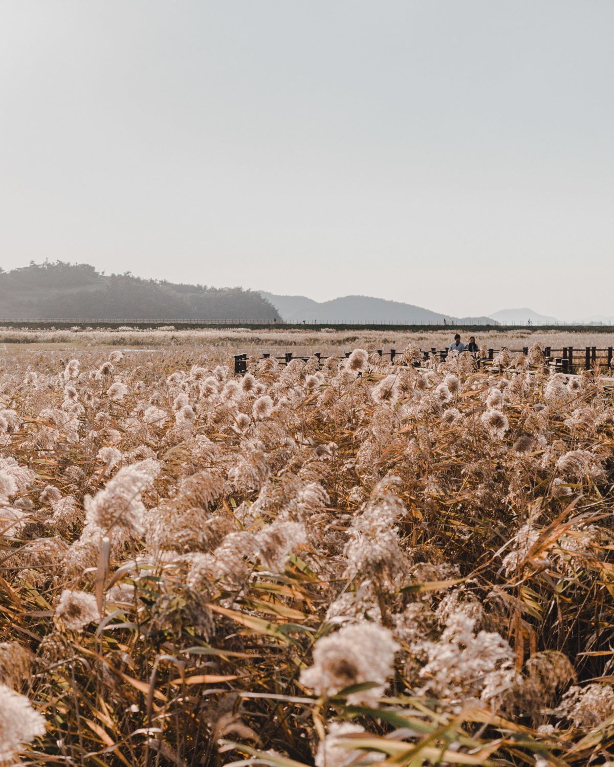 22 Places In The Korean Countryside You ll Love There She Goes Again