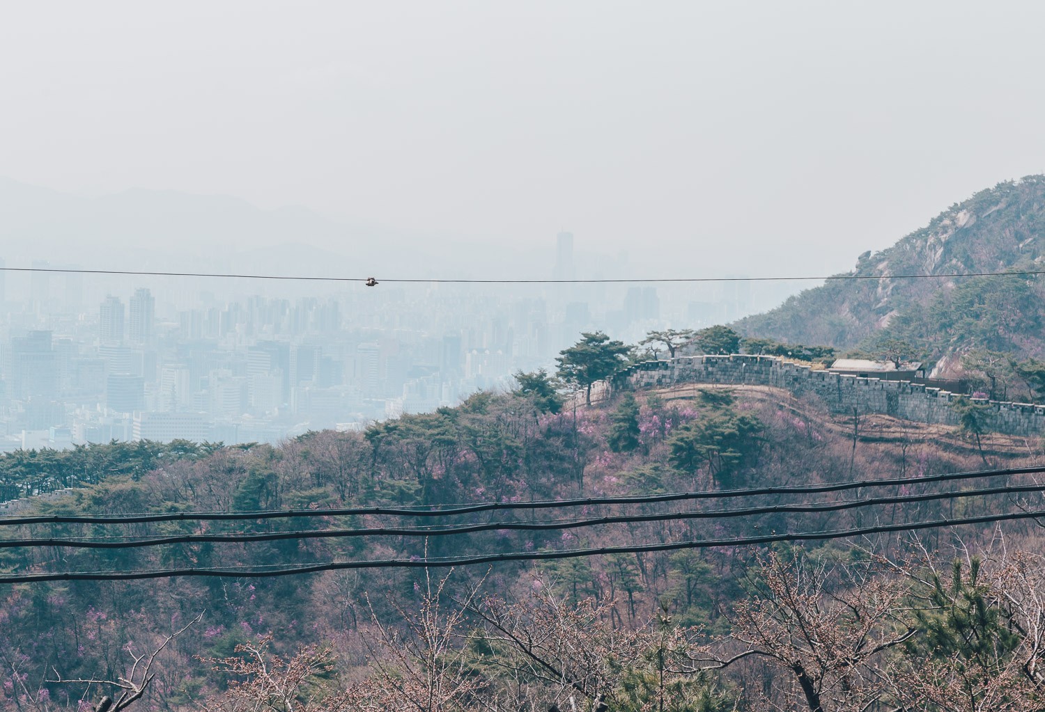 Bugak Skyway: One of the Prettiest Views in Seoul - There She Goes Again