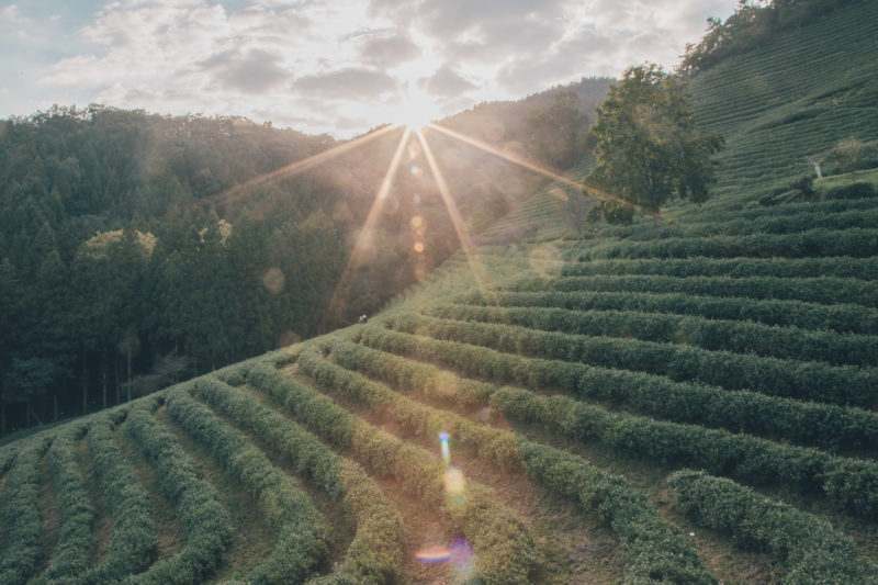 22 Places in the Korean Countryside You’ll Love – There She Goes Again