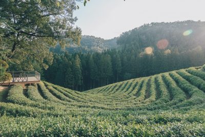 22 Places in the Korean Countryside You’ll Love – There She Goes Again