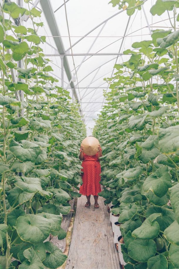 Vinh Long, Vietnam: A Complete Guide - There She Goes Again