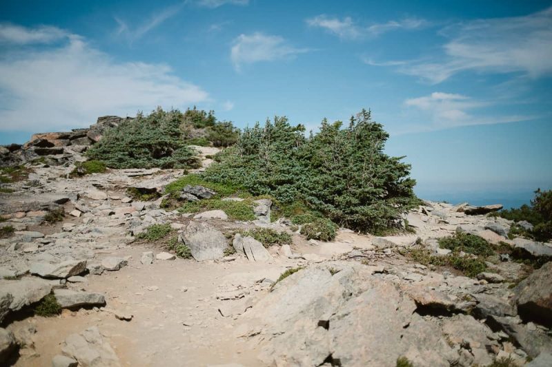 Mount Fremont Lookout Trail: The Perfect Hike to See Mt. Rainier ...