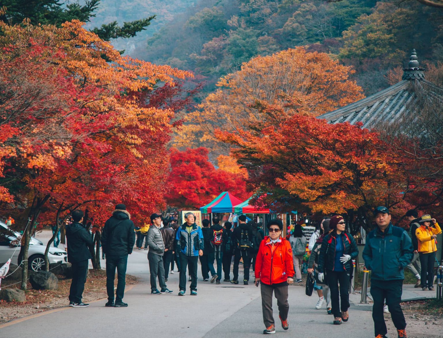 Hiking in Korea: The ULTIMATE Guide - There She Goes Again