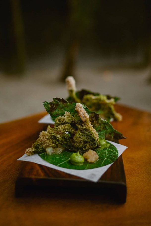 Everywhere We Ate in Tulum – There She Goes Again